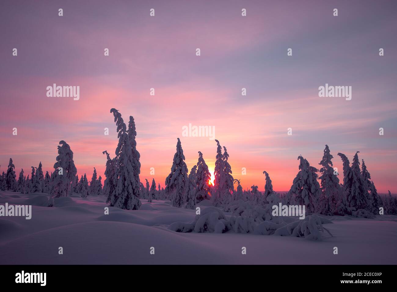 Night sky full moon sparkling hi-res stock photography and images - Alamy