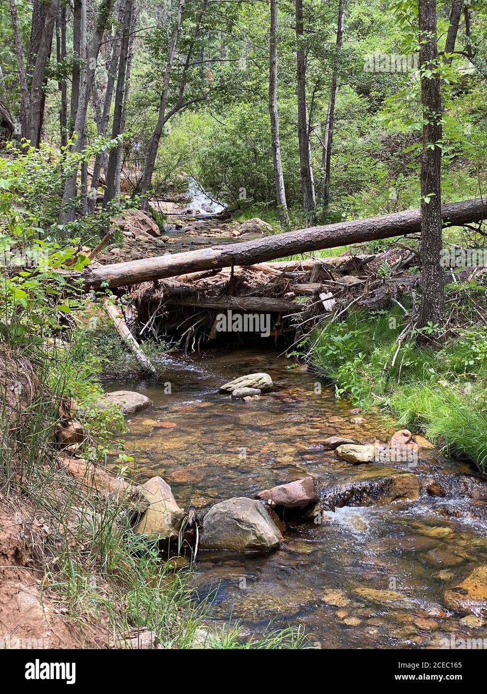 Bullpen Day Use Area in Arizona. It's a hard to reach area (need an off ...