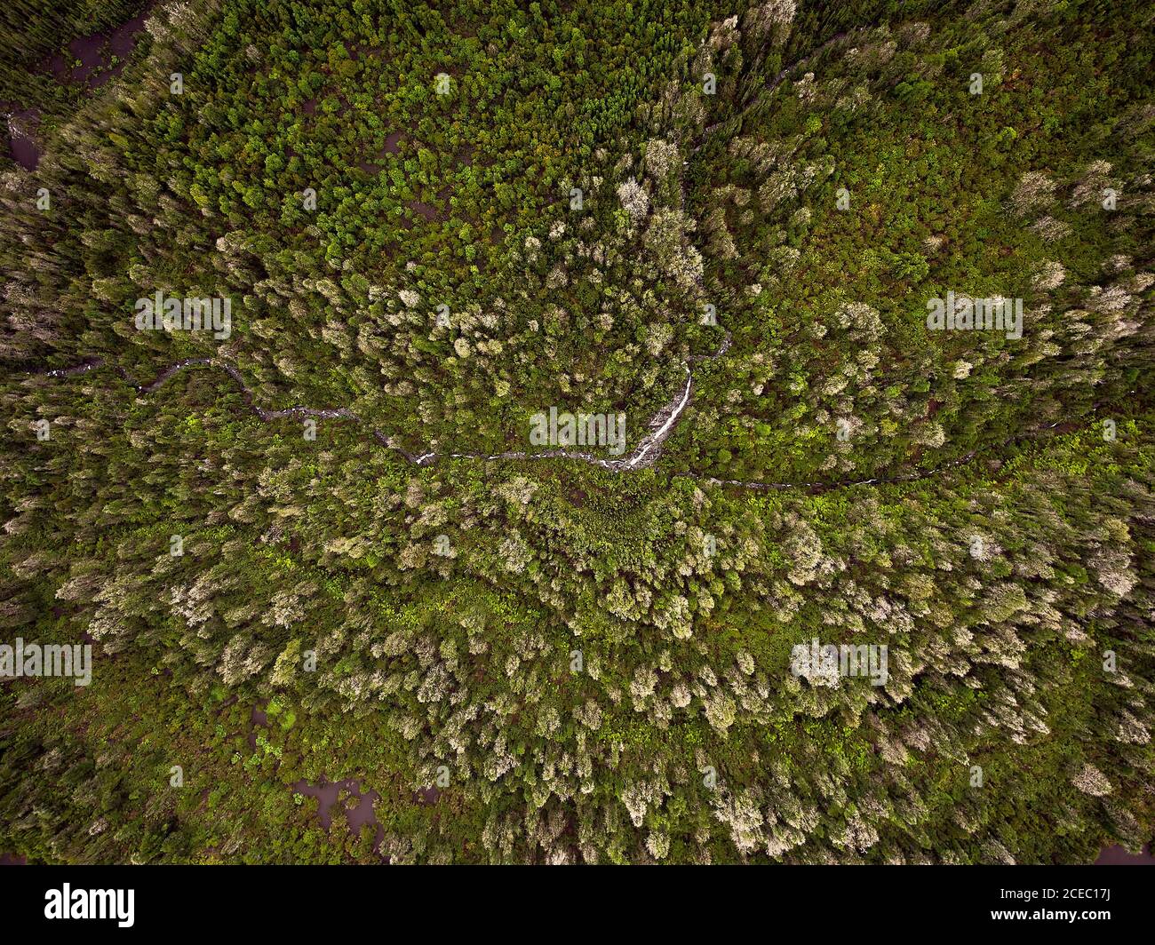 Green vegetation of volcano from drone Stock Photo - Alamy