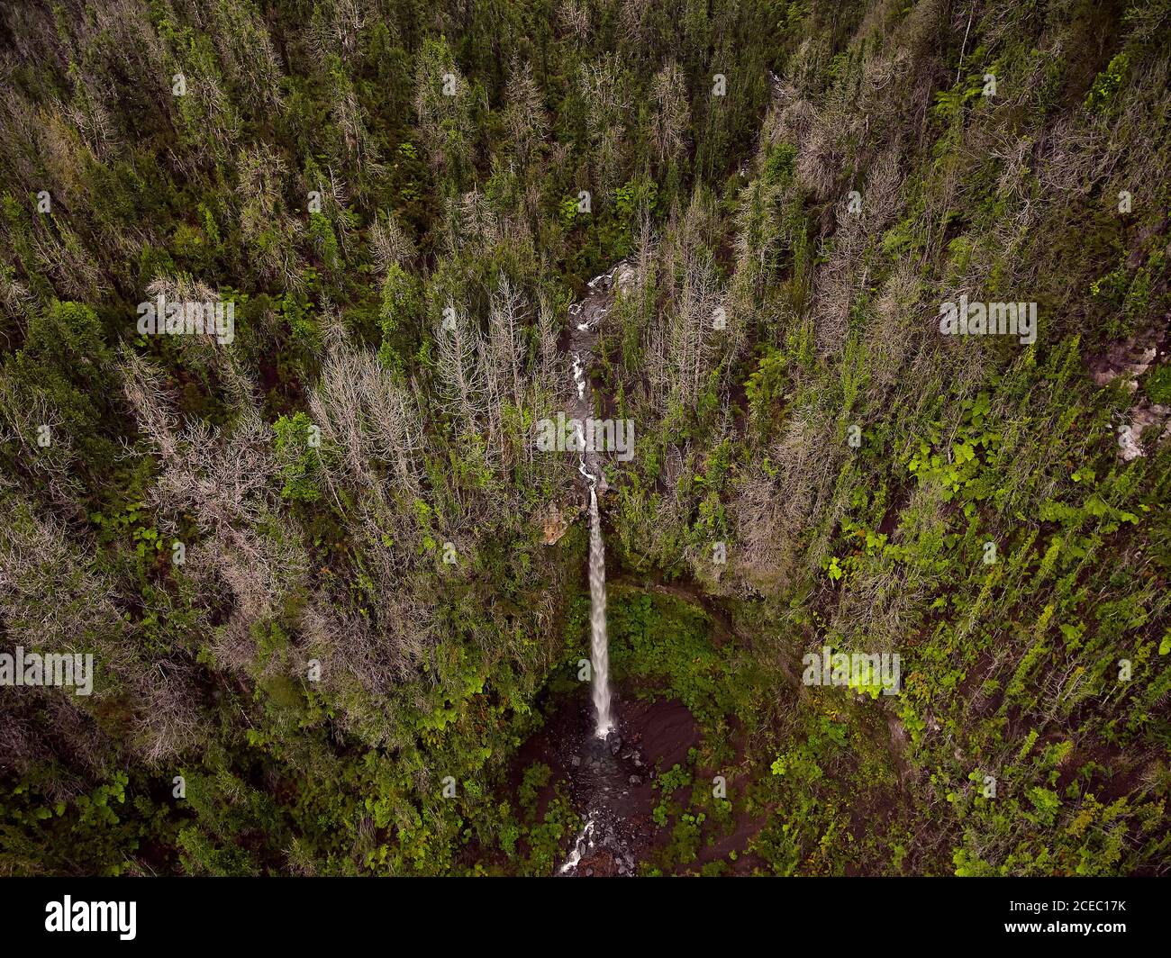 Aerial view green lush vegetation volcano calbuco hi-res stock ...