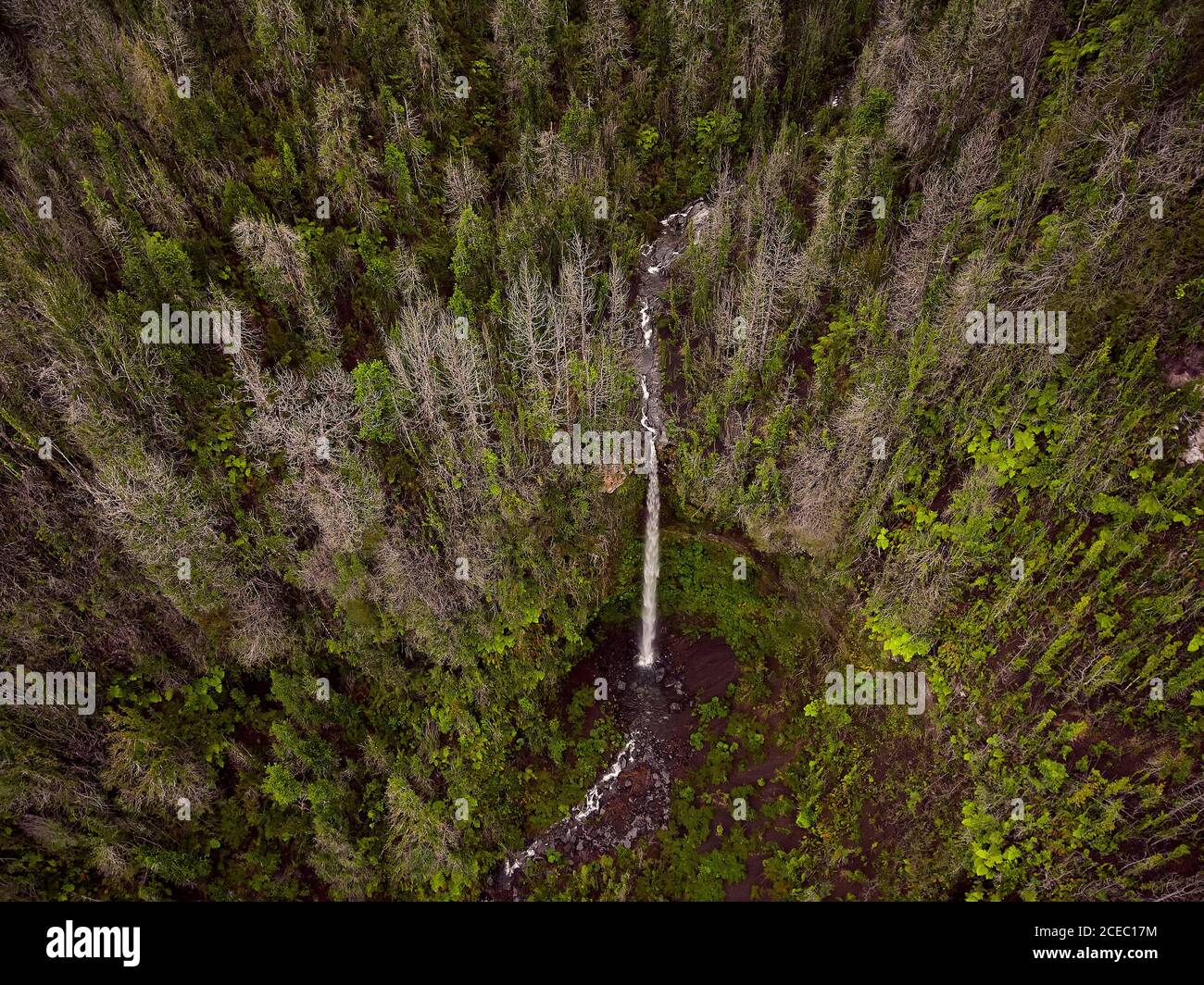 Aerial view green lush vegetation volcano calbuco hi-res stock ...