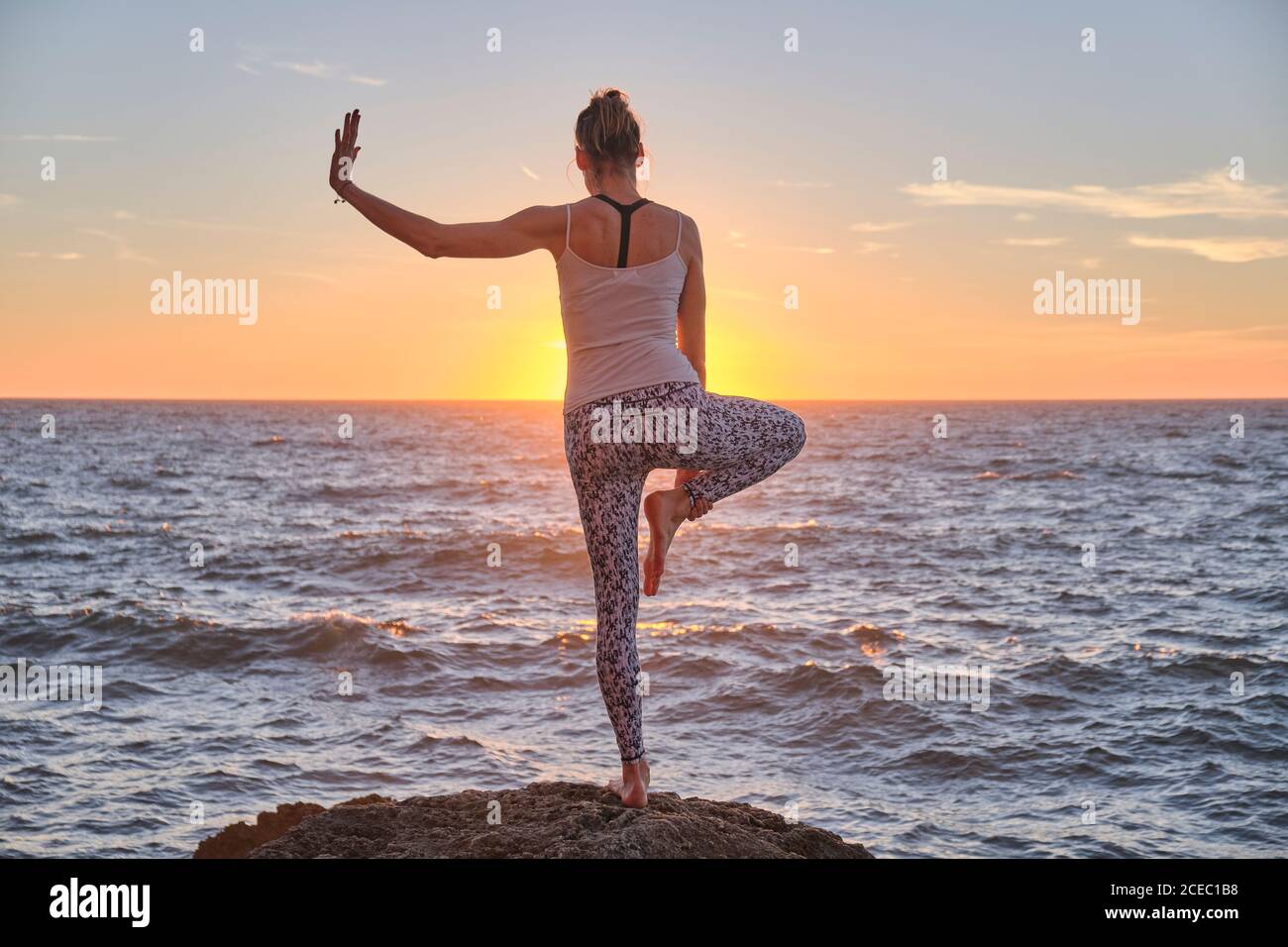 Back view of slim Woman standing on rock in Tree Pose while doing yoga ...