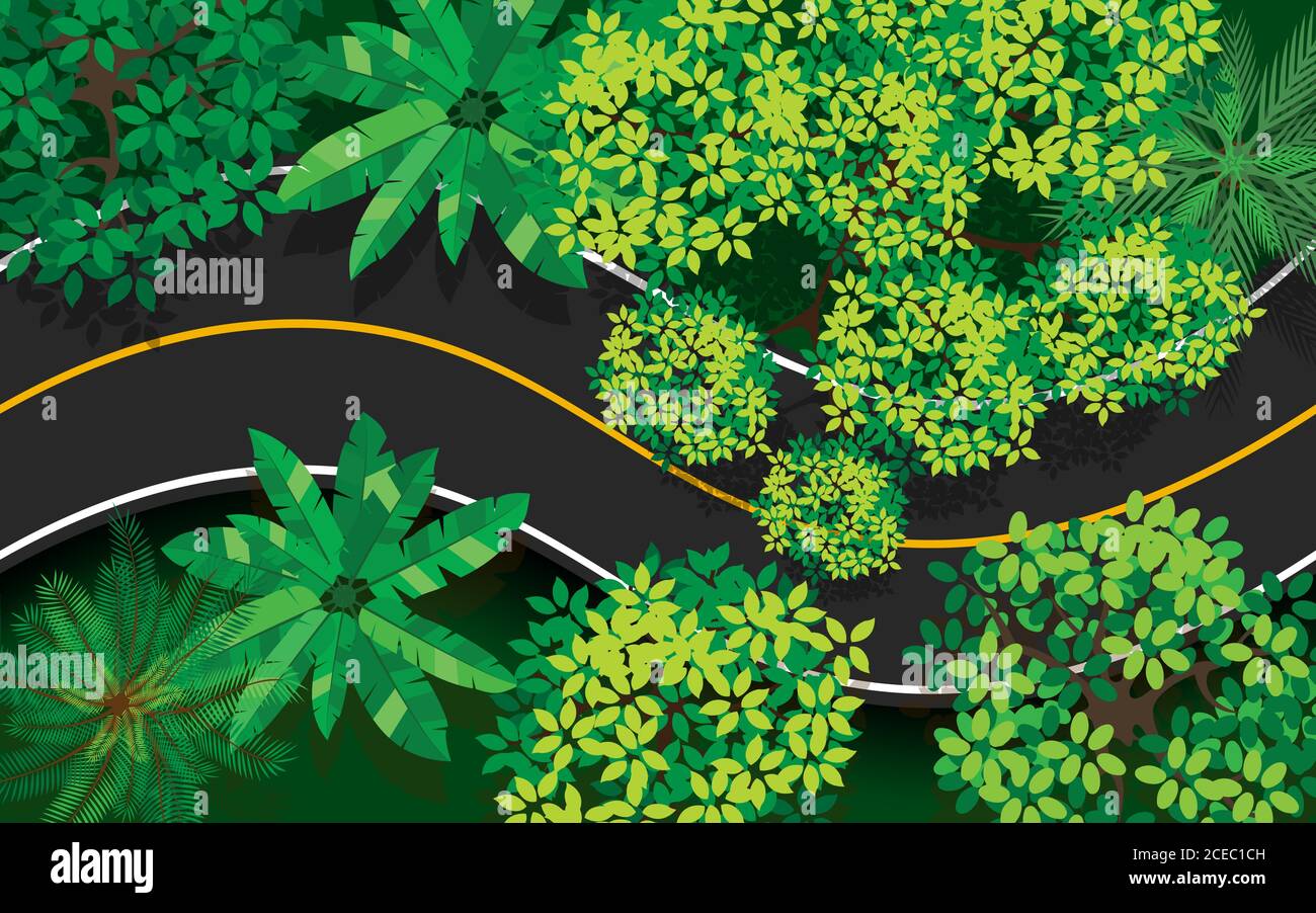 Tropical asphalt road Stock Vector Images - Alamy