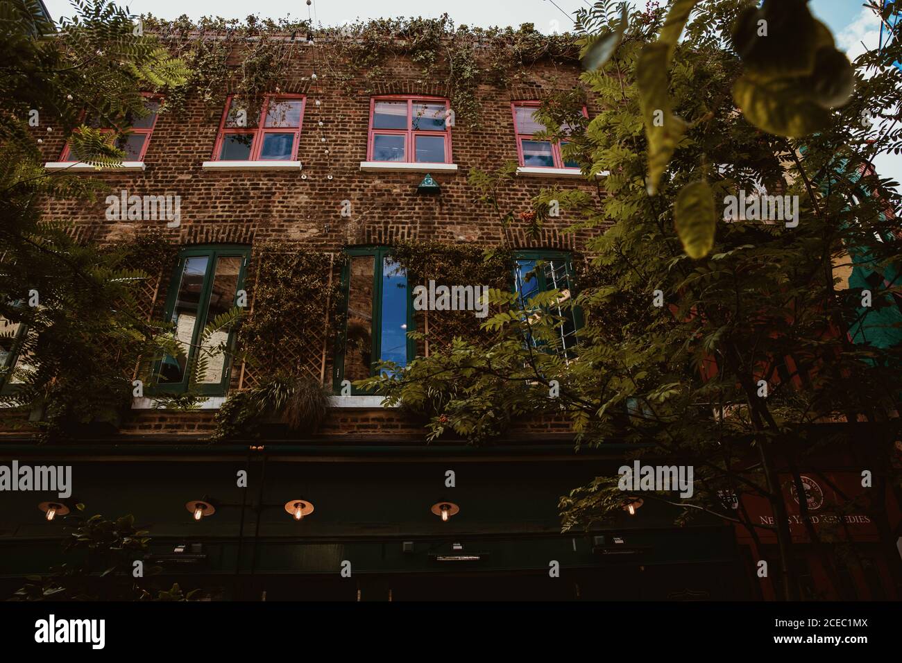 Mossy facade of old building Stock Photo - Alamy