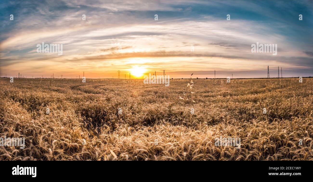 Beautiful sunset in field summer hi-res stock photography and images ...