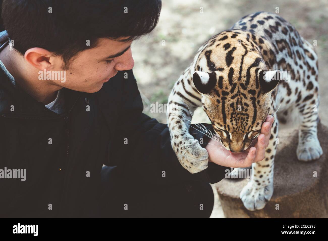 Man with leopard hi-res stock photography and images - Alamy