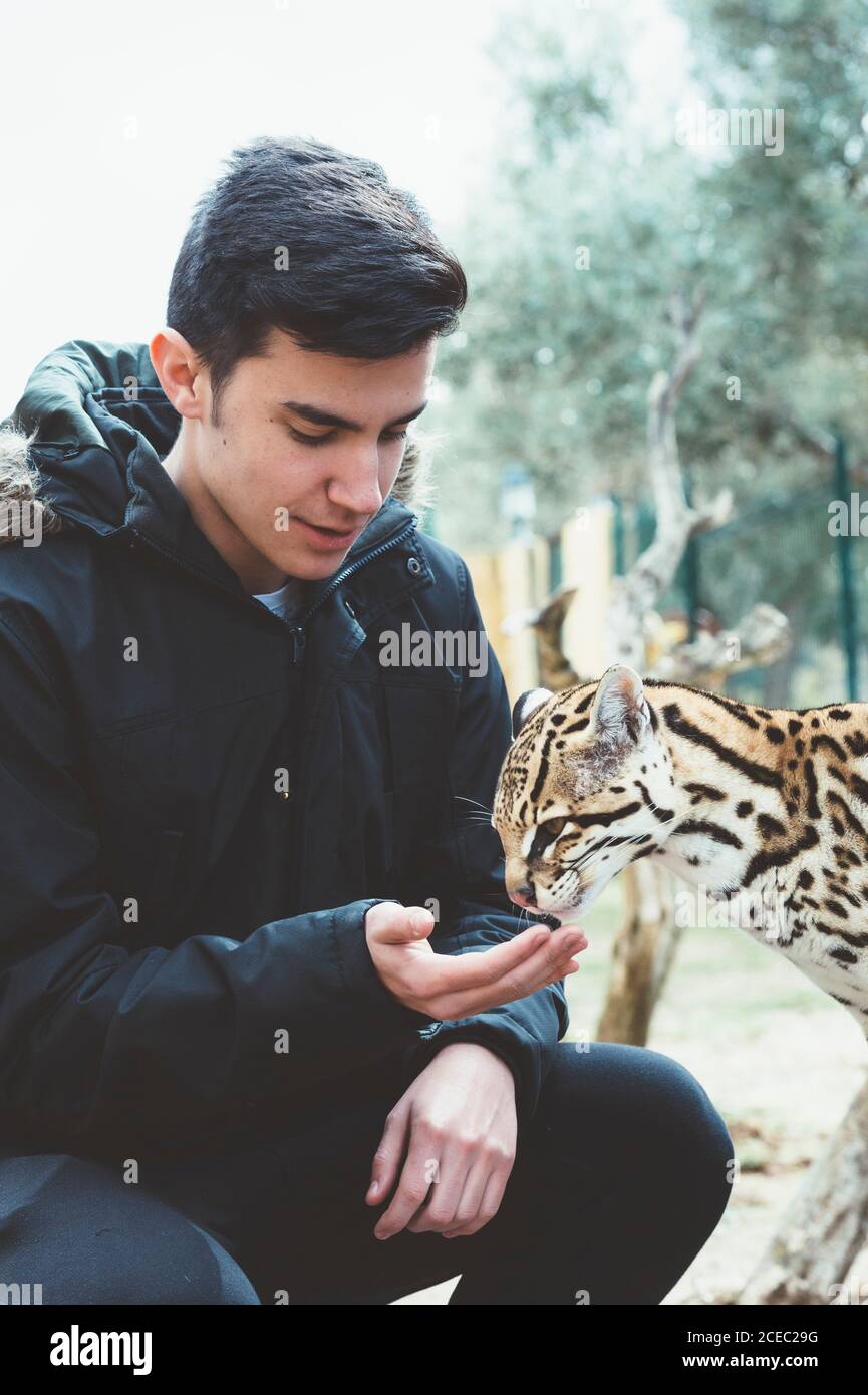 Man feeding cat hi-res stock photography and images - Alamy