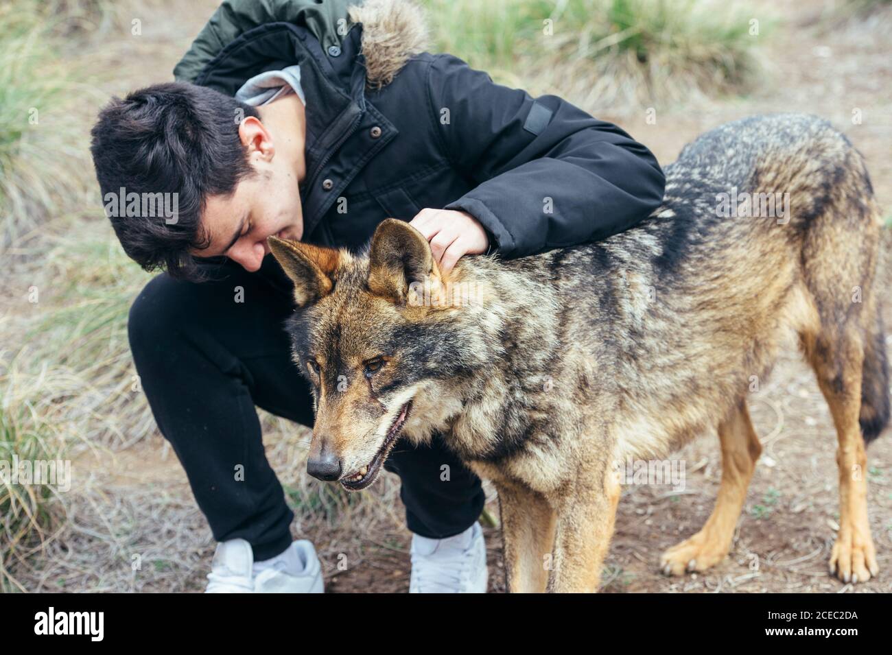 Handsome creature hi-res stock photography and images - Alamy