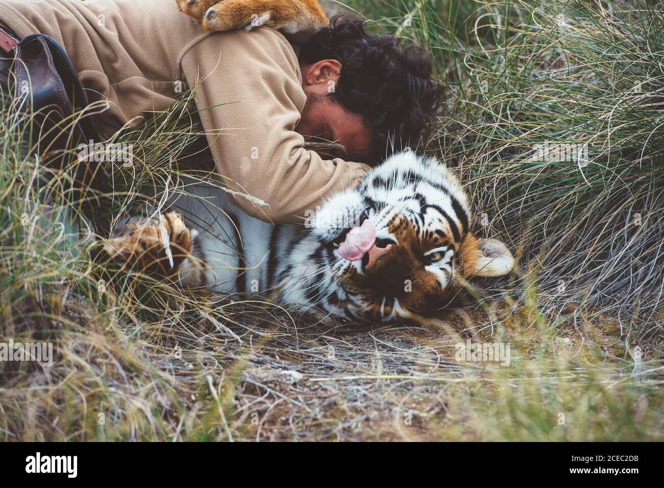 Tiger Man High Resolution Stock Photography and Images - Alamy