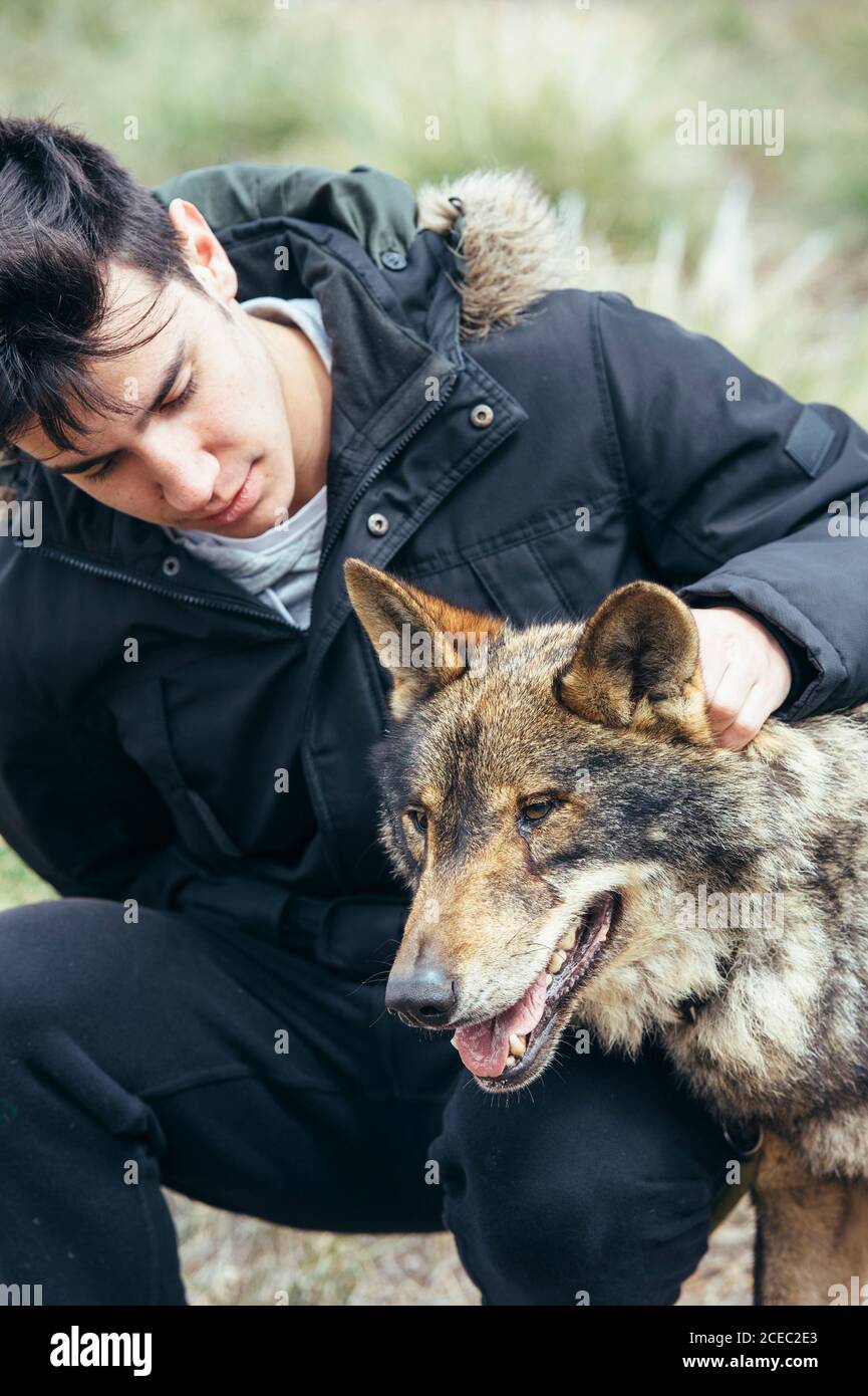 Handsome beast hi-res stock photography and images - Alamy