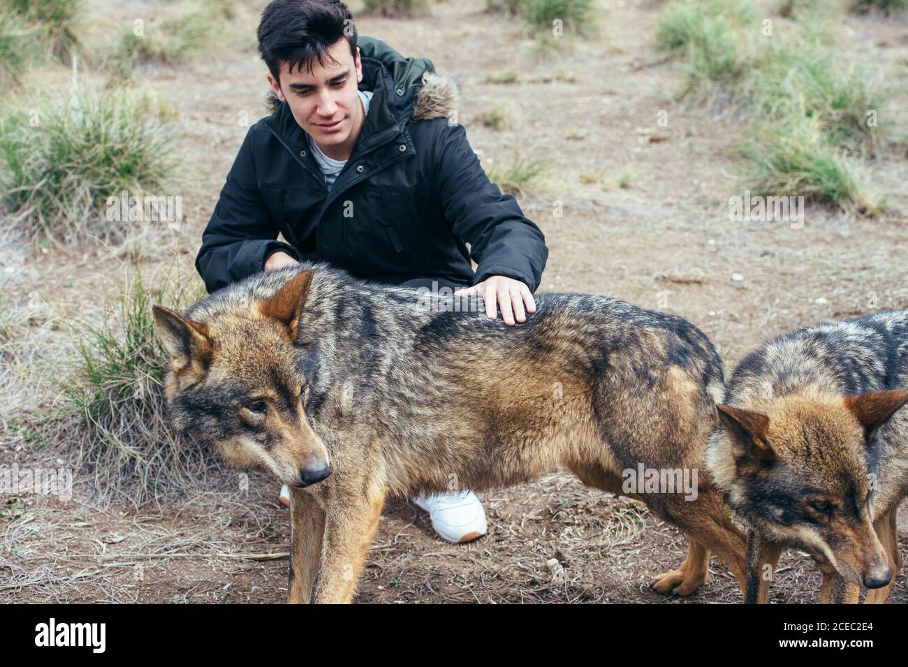 Wolves man hi-res stock photography and images - Alamy