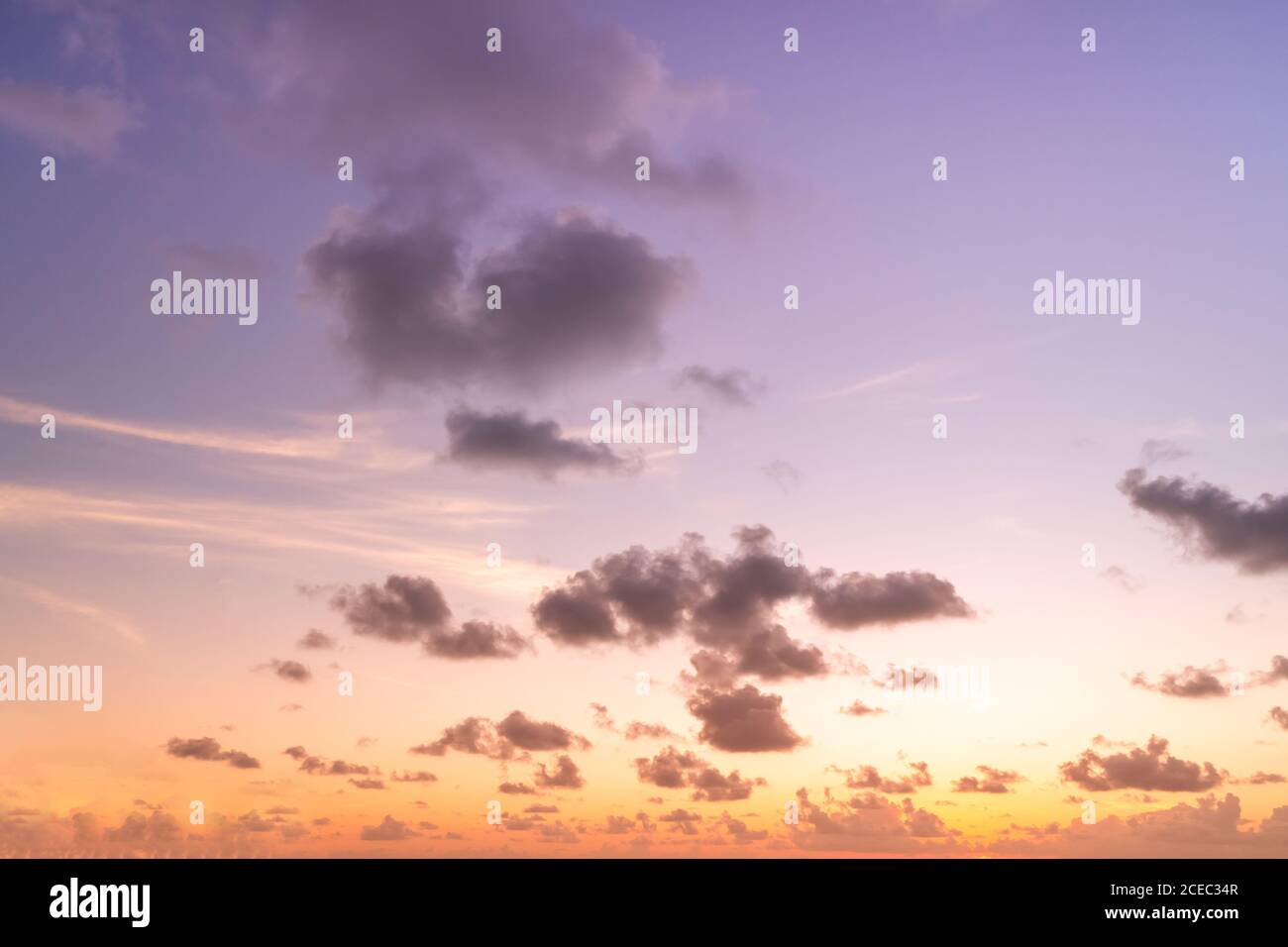 Magenta color of sunset twilight sky and cloud background Stock Photo ...
