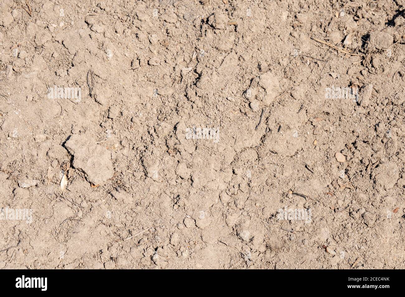 natural texture background cracked ground sunny weather outdoor Stock ...