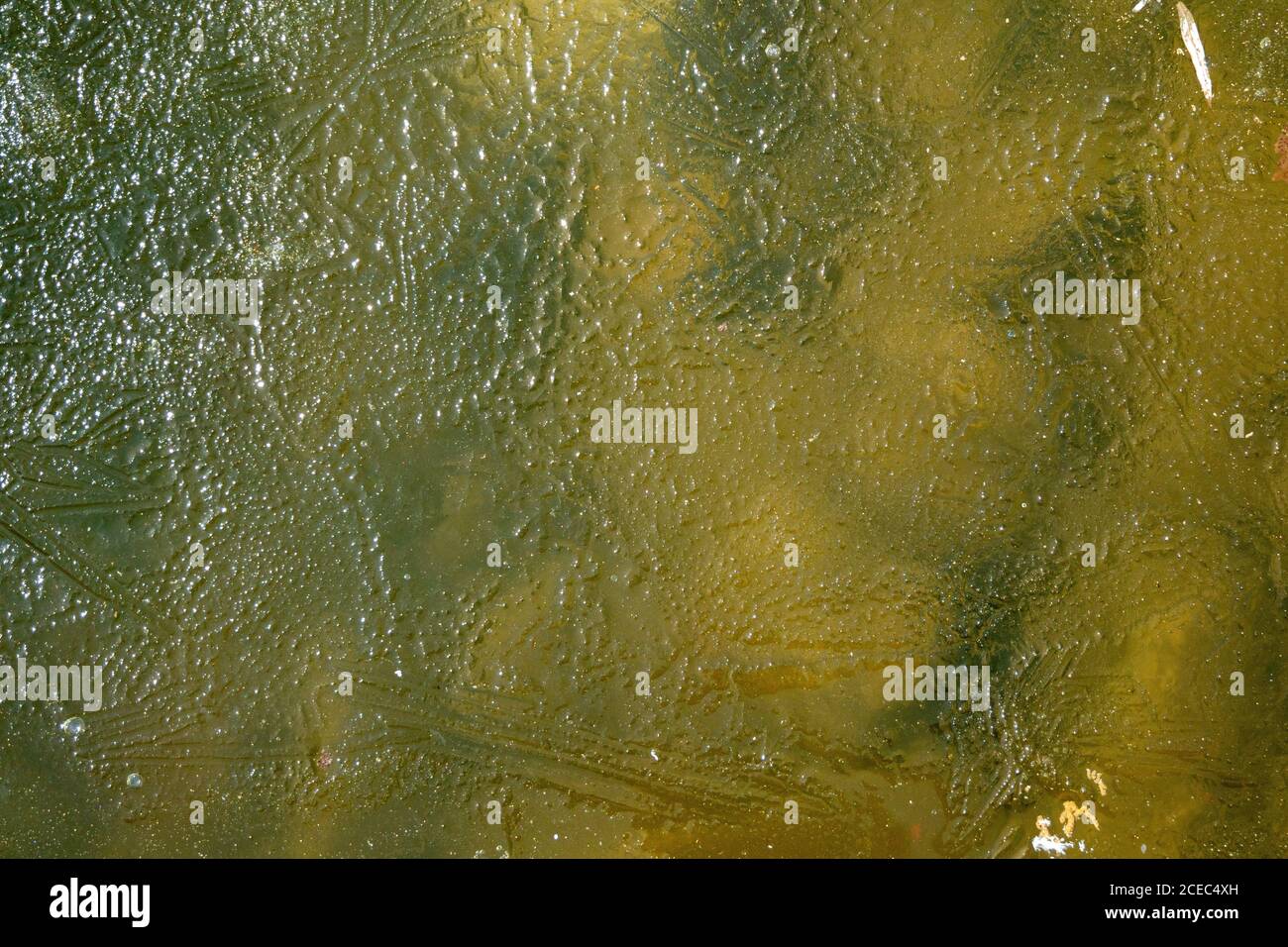 natural texture background spring ice Stock Photo - Alamy