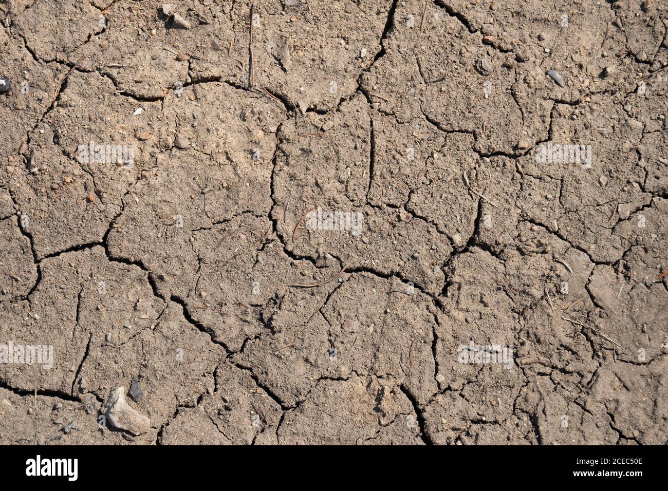 natural texture background cracked ground sunny weather outdoor Stock ...