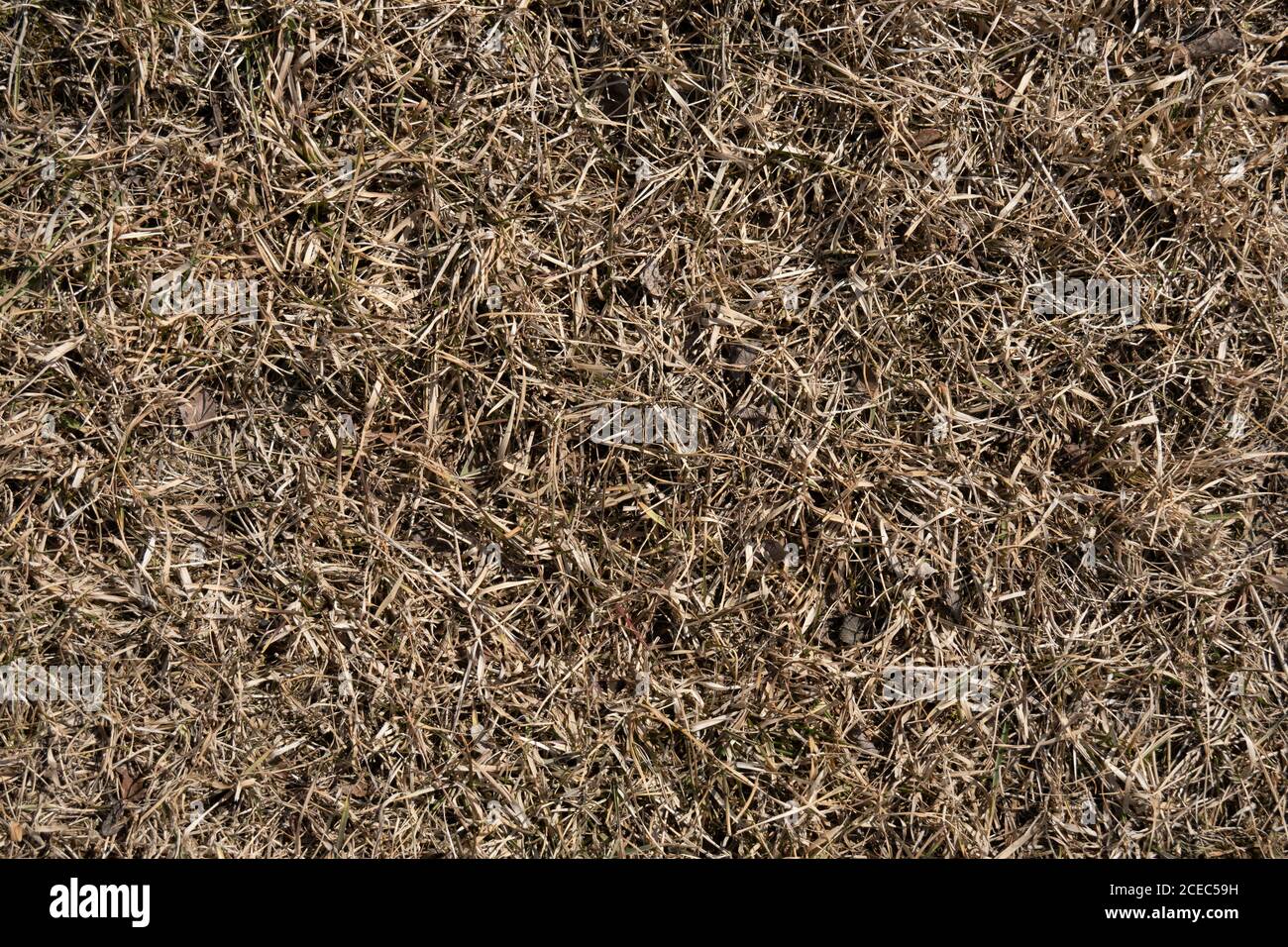 Sad texture hi-res stock photography and images - Alamy