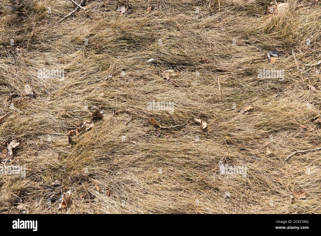 Sad texture hi-res stock photography and images - Alamy