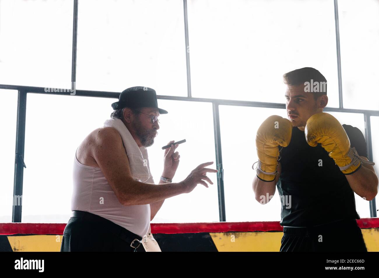 Punch Cigar High Resolution Stock Photography and Images - Alamy