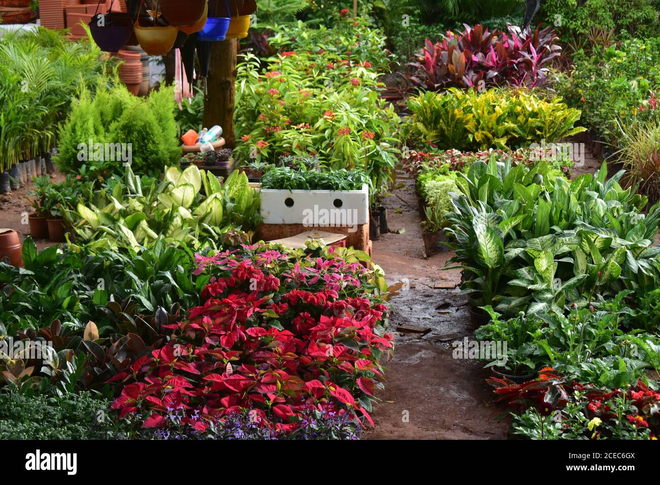Stunning Plant Place Nursery Photos