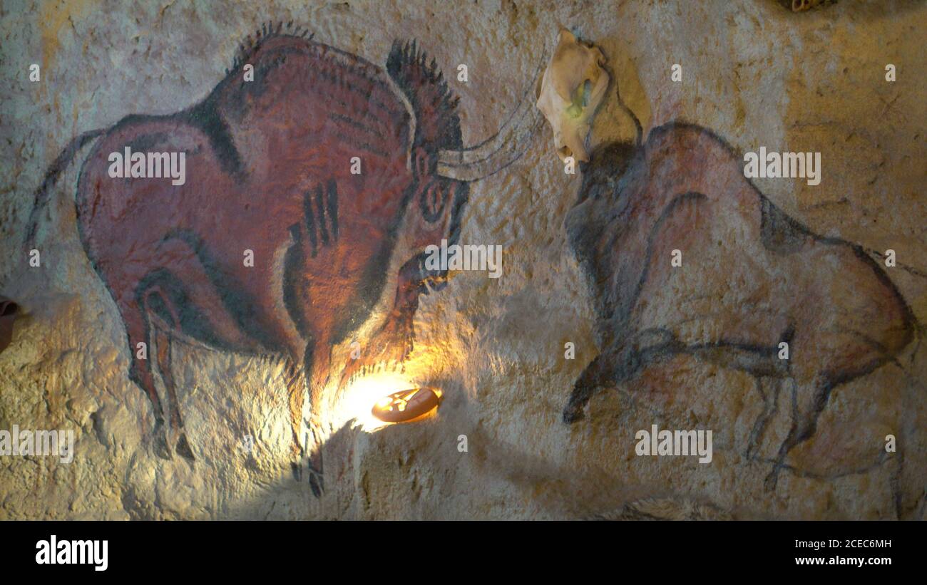 Caveman museum hi-res stock photography and images - Alamy