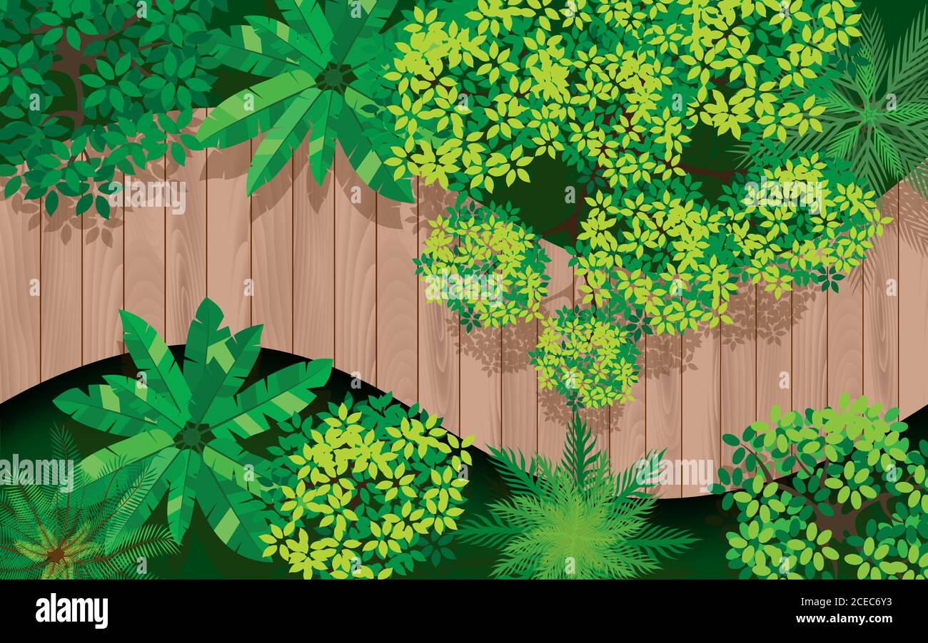 topview wooden bridge in forest Stock Vector Image & Art - Alamy