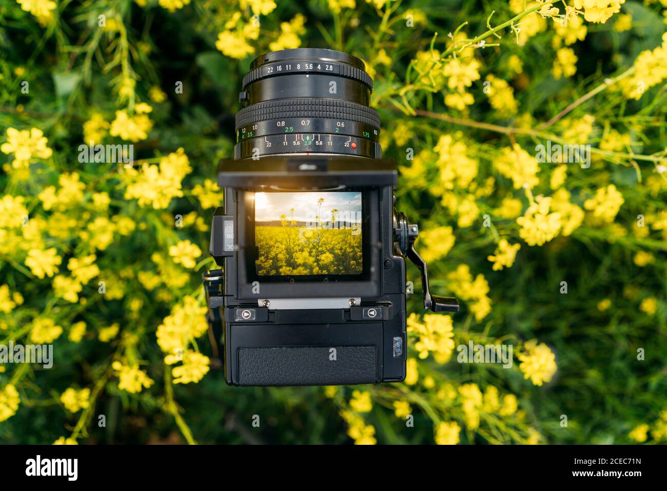 Devise hi-res stock photography and images - Alamy