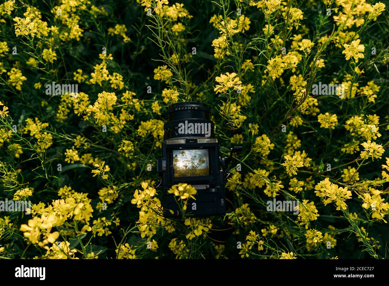 Retro devise with small display making photo of nature with yellow ...