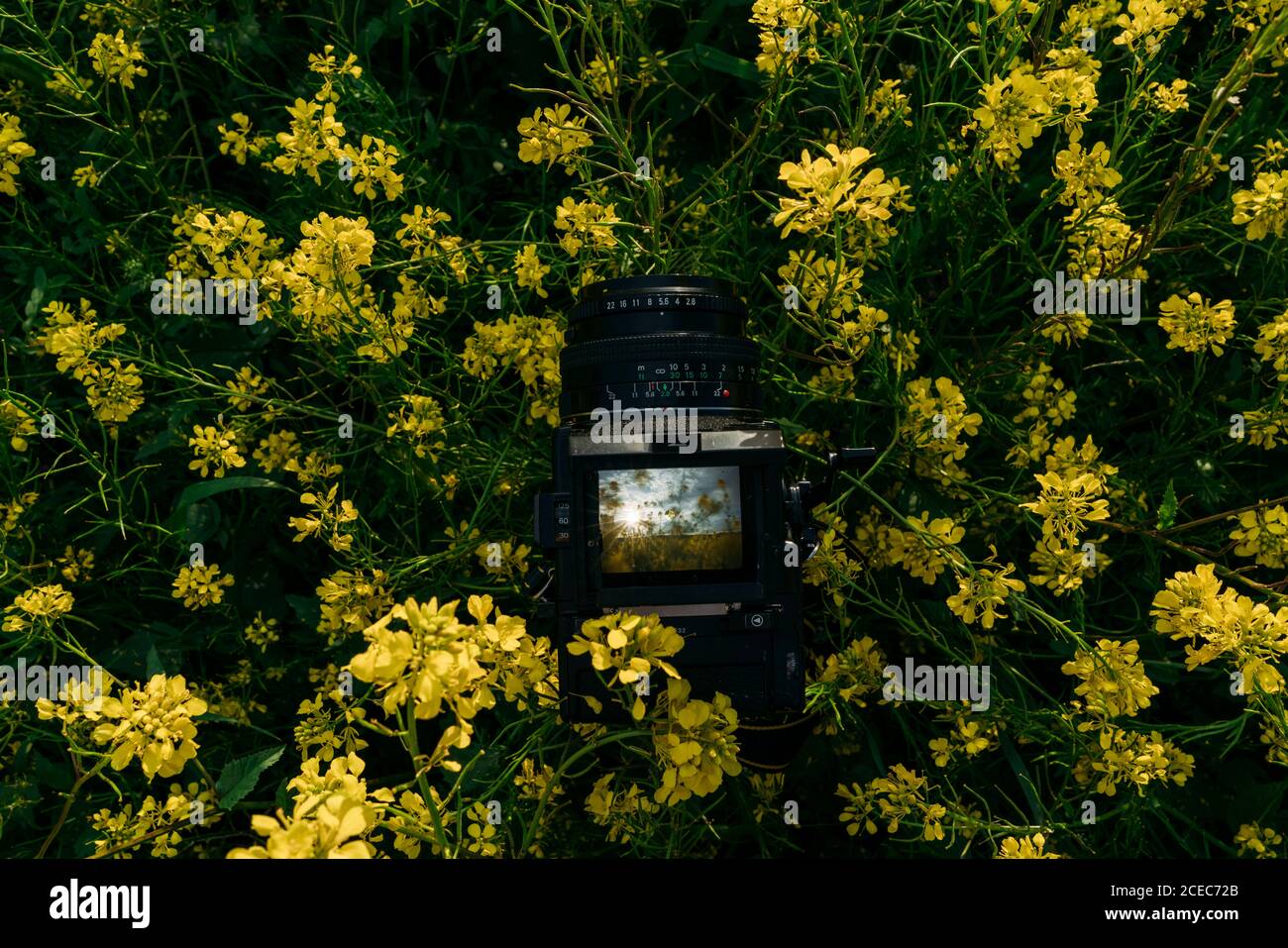 Retro devise with small display making photo of nature with yellow ...