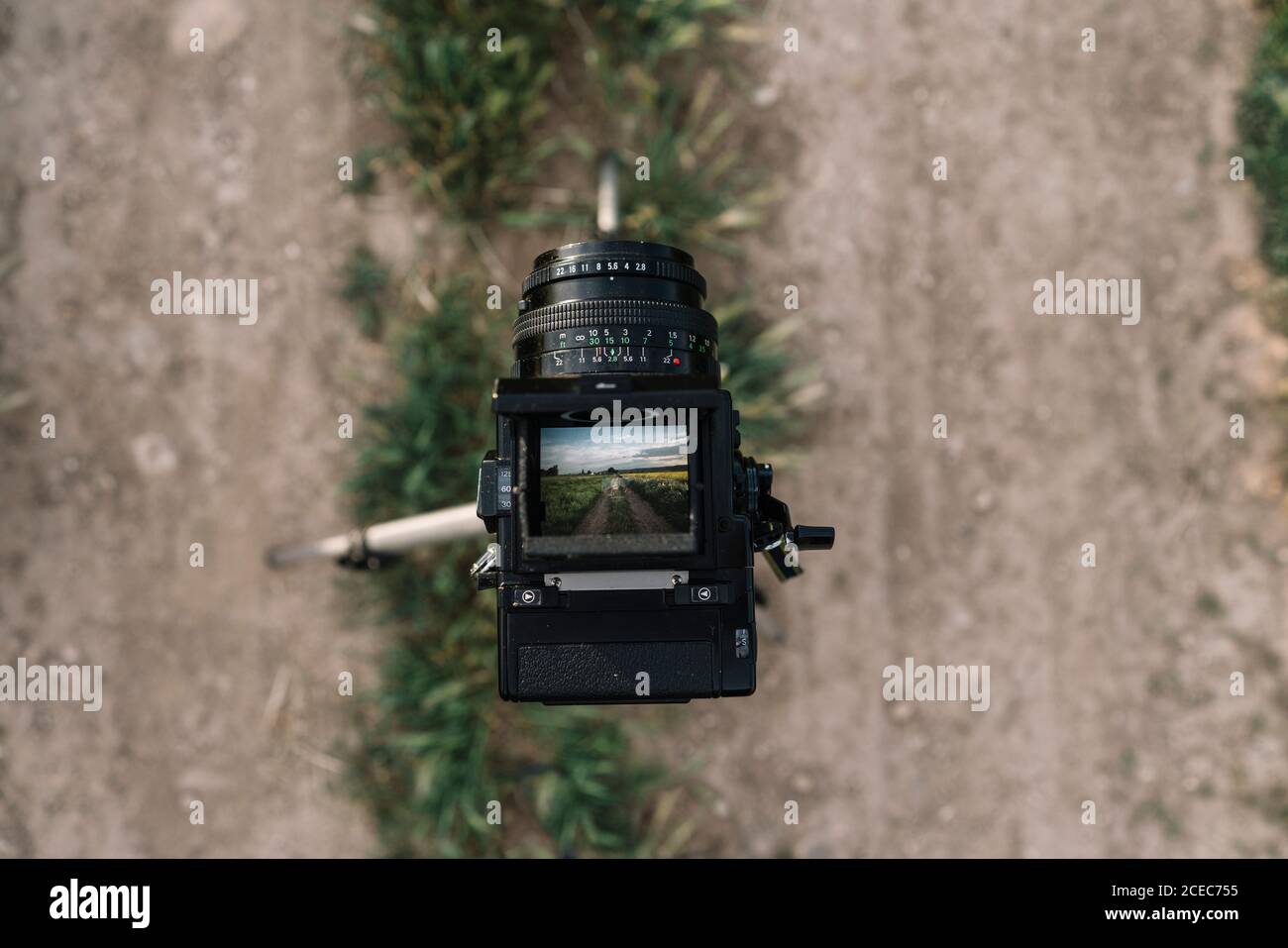 Devise hi-res stock photography and images - Alamy