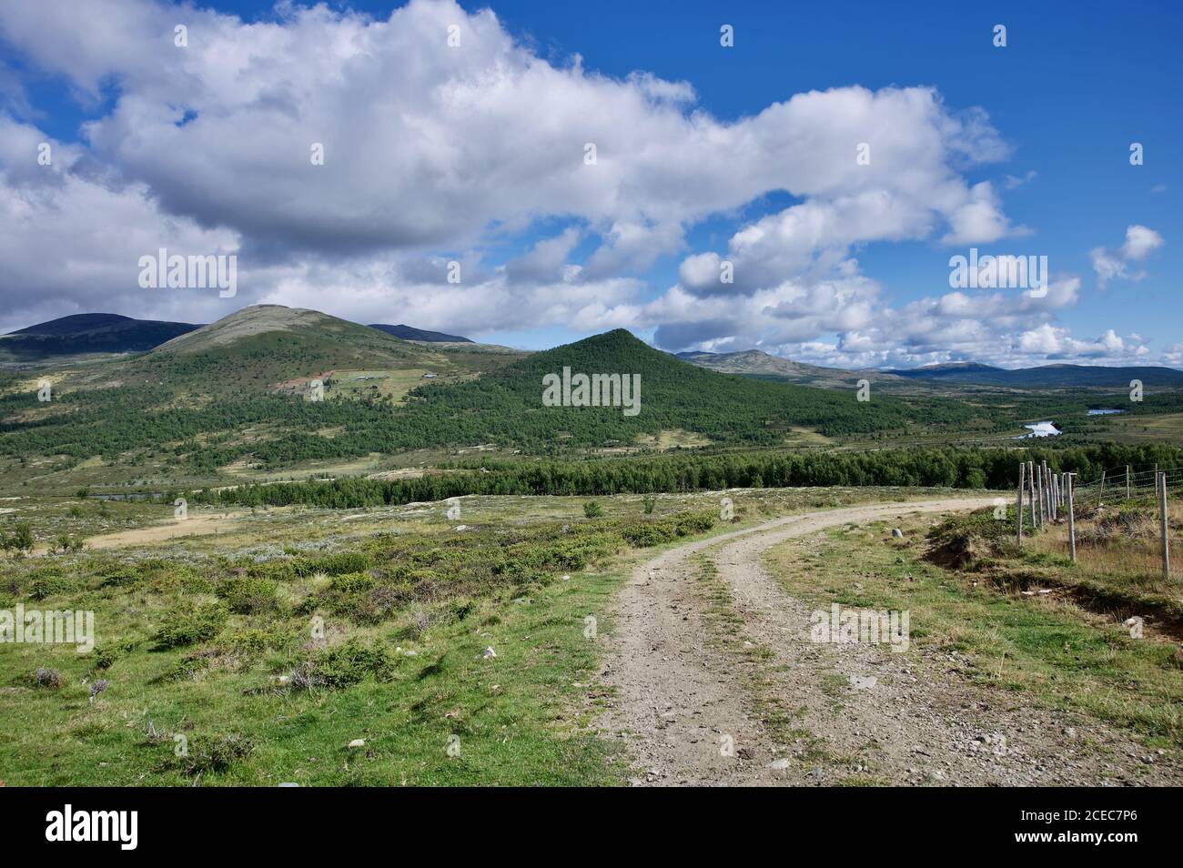 Norwegian landscape Alvdal Norway Stock Photo - Alamy