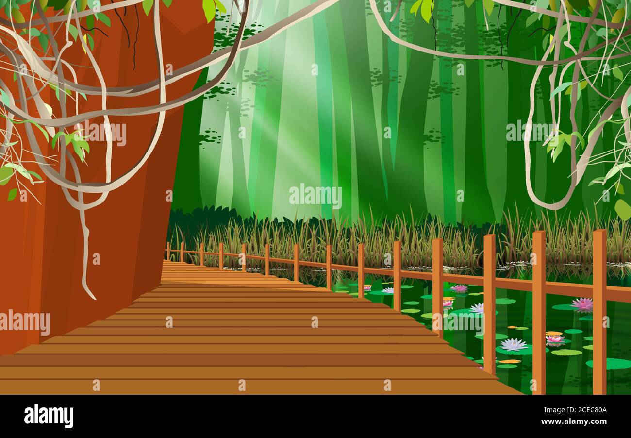 Wooden footbridge in forest Stock Vector Images - Alamy