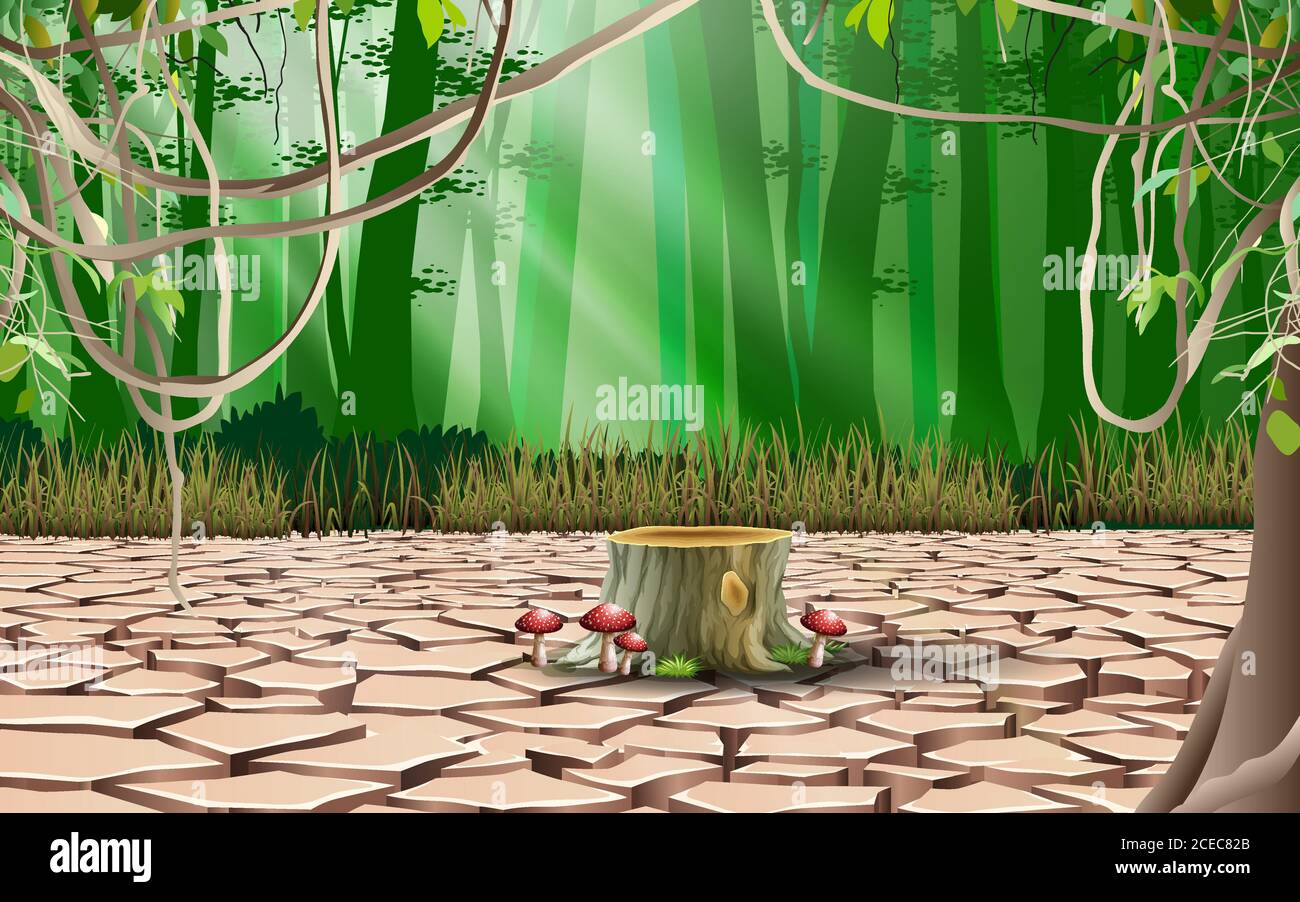 Tree liana in forest Stock Vector Images - Alamy