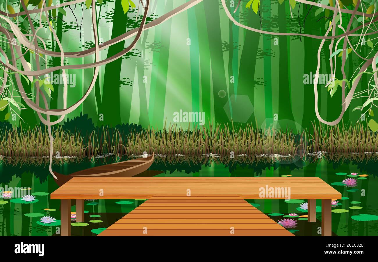 Mangrove boardwalk Stock Vector Images - Alamy