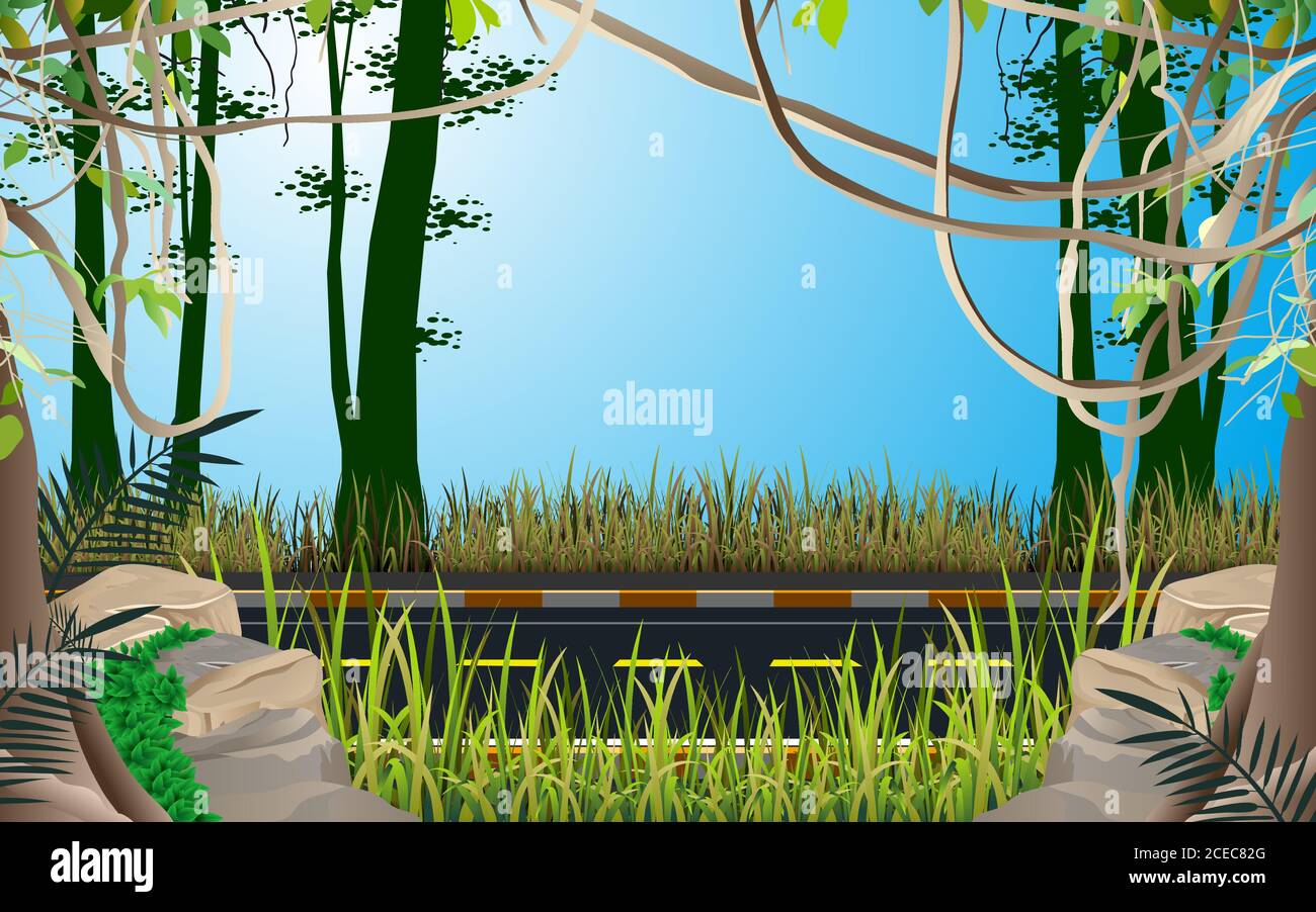 Path in forest mountains Stock Vector Images - Alamy