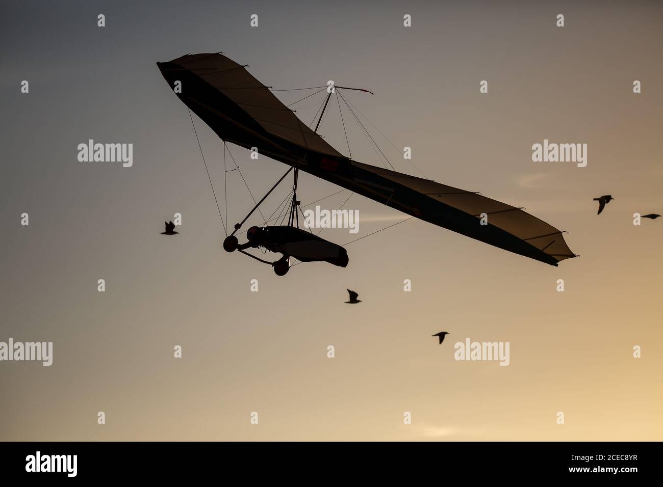 Hand Glider High Resolution Stock Photography and Images - Alamy