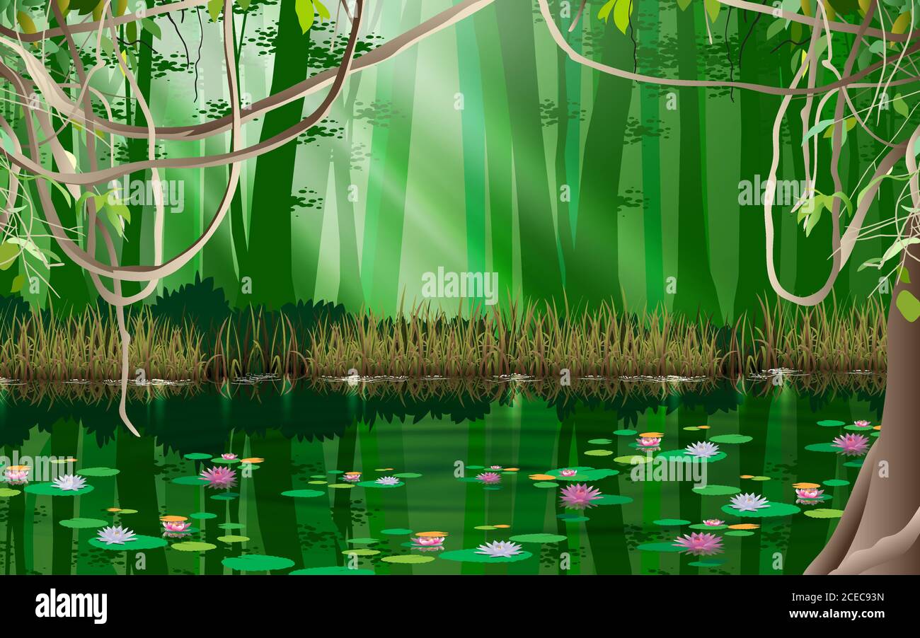 Wetland marsh grass in Stock Vector Images - Alamy