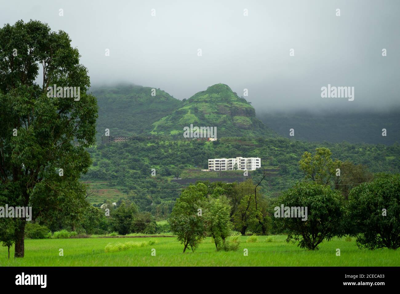 Western ghats 2020 hi-res stock photography and images - Alamy