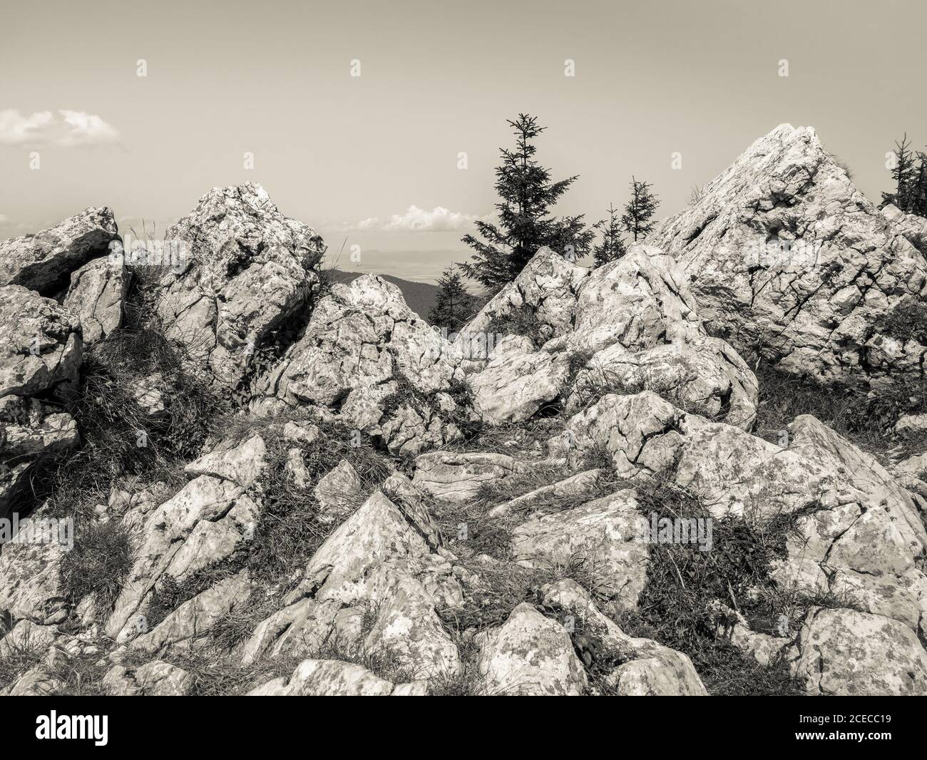 Black and white detail with a rocky mountain top in Carpathian ...