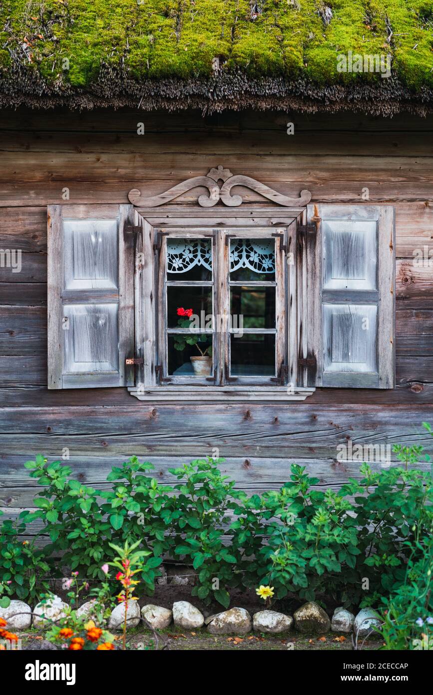 Beautiful window on wall of wooden countryside house with mossy roof ...