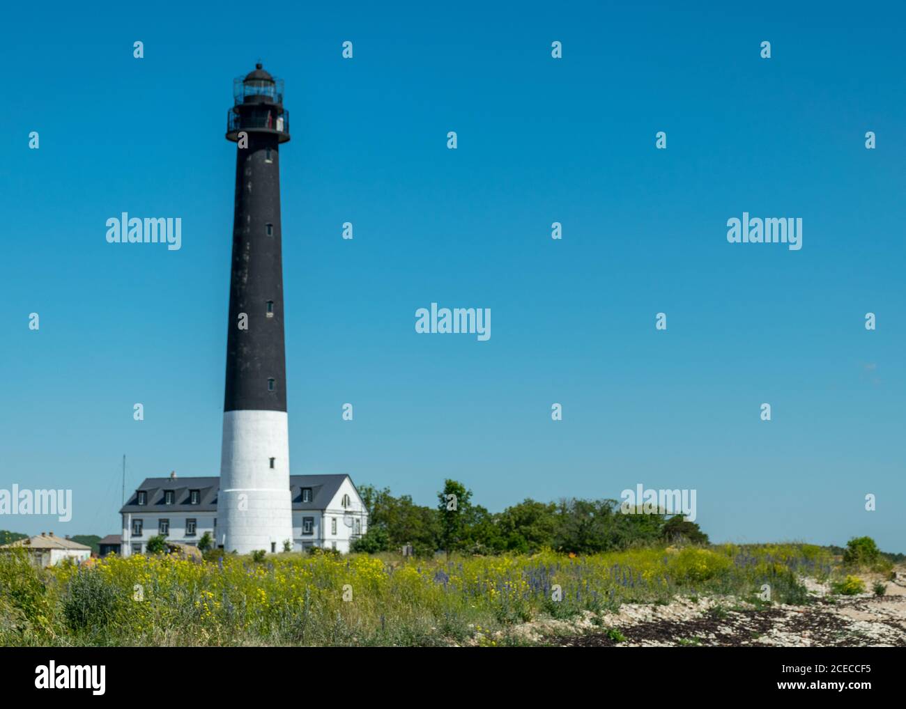 beautiful sightseeing of Saaremaa island in sunny clear day . Sorve ...