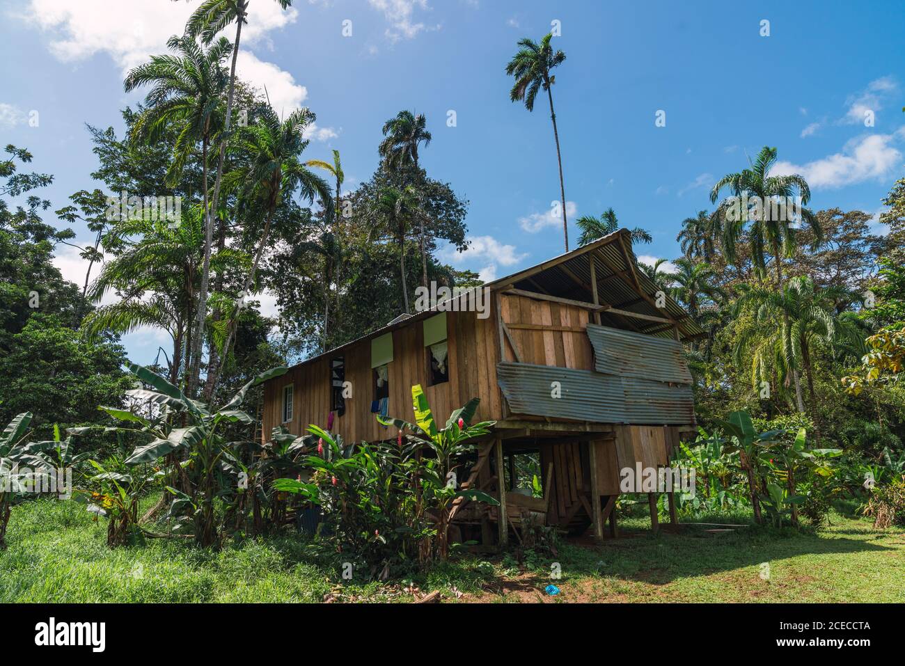 Exterior of wooden poor house in remote tropical landscape with palms ...