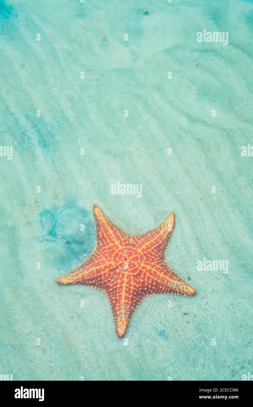 Shallow water above shot hi-res stock photography and images - Alamy