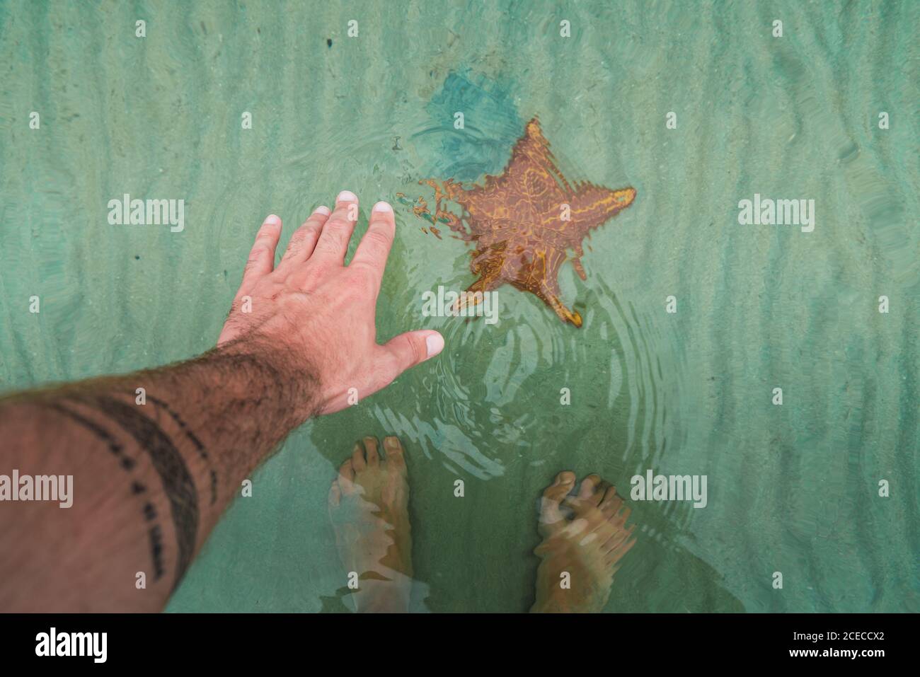Starfish feet sand hi-res stock photography and images - Alamy