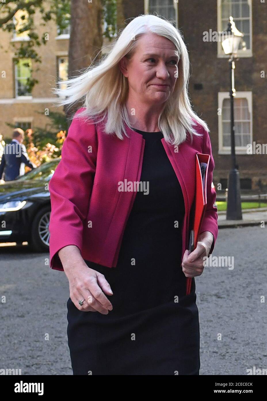 Conservative Party Chairwoman Amanda Milling arrives in Downing Street ...