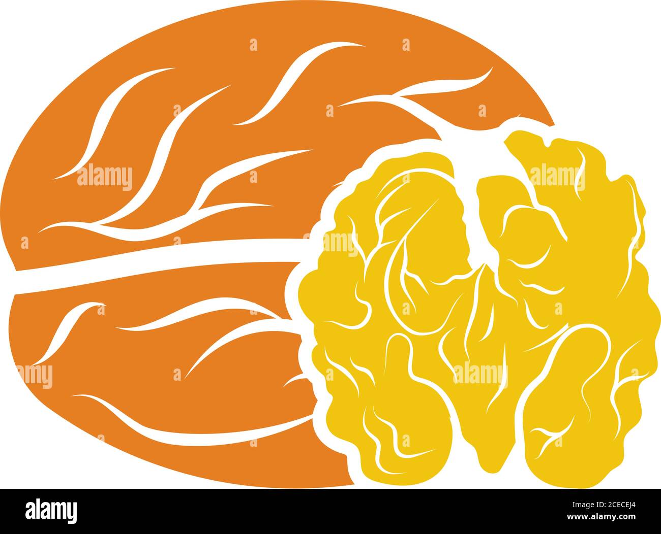 Walnut Icon. Flat Color Design. Vector Illustration Stock Vector Image ...