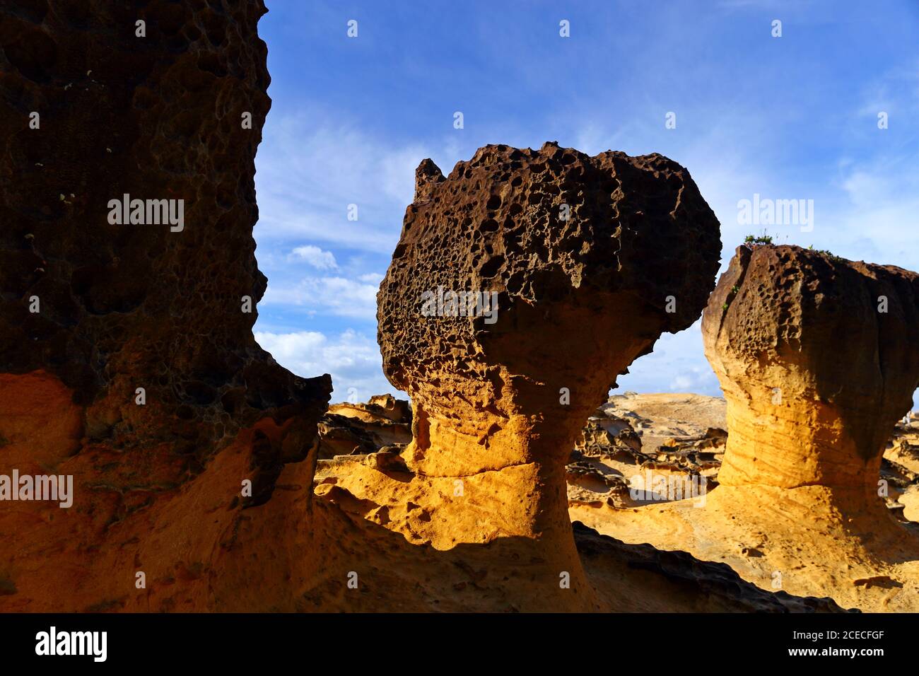 Natural rock formation at Yehliu Geopark, one of most famous wonders in ...