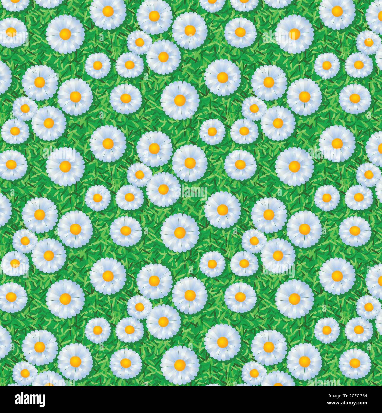 Pattern flower daysy Stock Vector Image & Art - Alamy