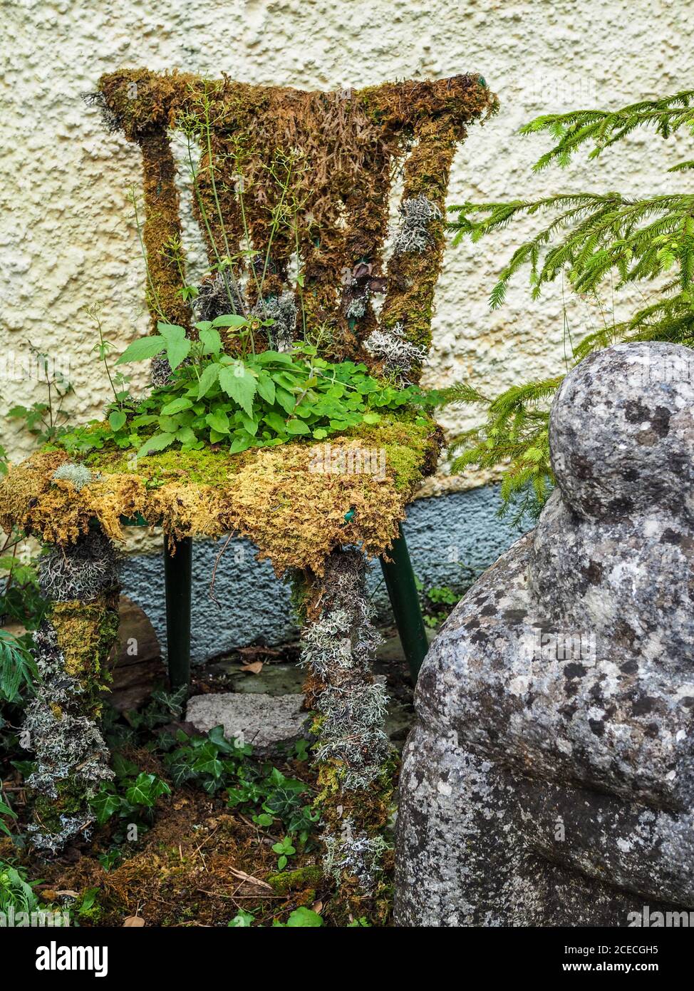 Chair overgrown by moss. Garden decoration. Home design. DIY concept ...