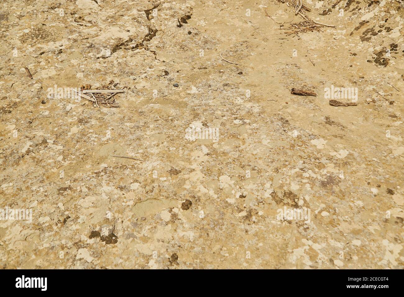 texture of old, cracked, sandy earth background Stock Photo - Alamy