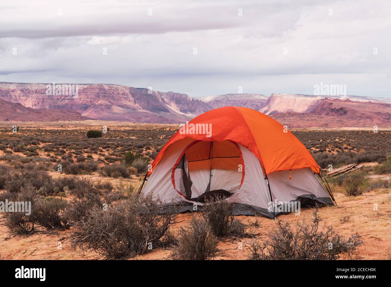 Empty camping tent standing hi-res stock photography and images - Alamy